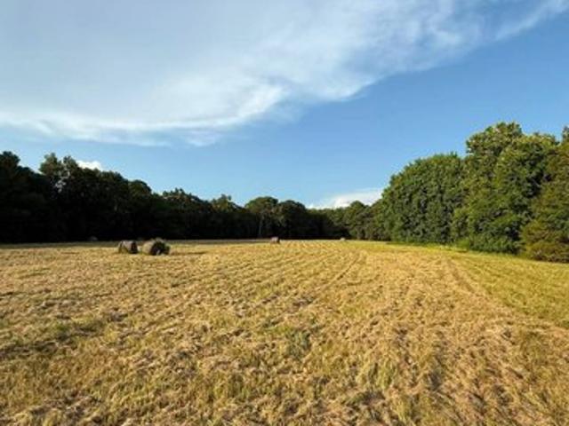 2962 Low Gap Rd, Ozark, AR 72949