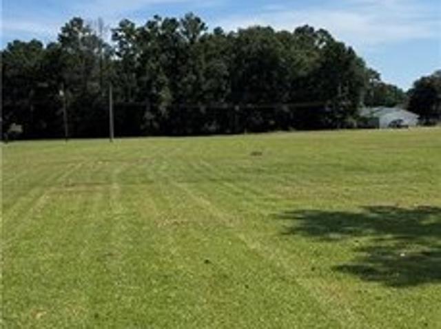 29636 Prokop Rd, Albany, LA 70711