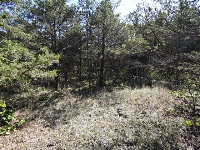 296 299 Hiawatha Ln, Rocky Mount, MO 65072 | MLS #3579
