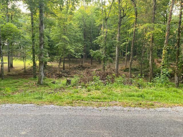 296 County Road 263