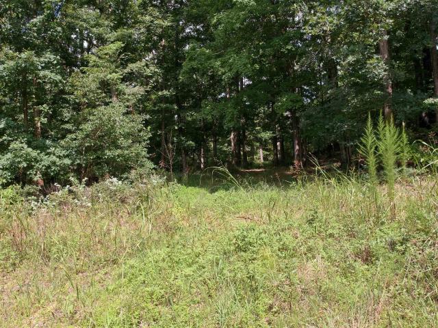 296 Acres County Road 106