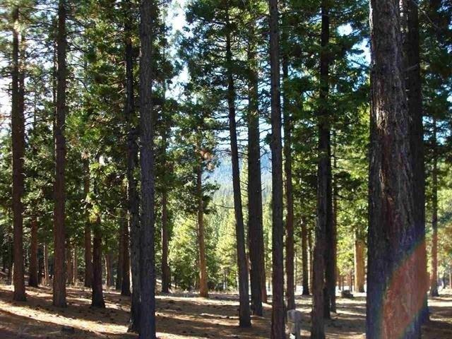 296 Big Cedar Ln Lot 289, Portola, CA 96122