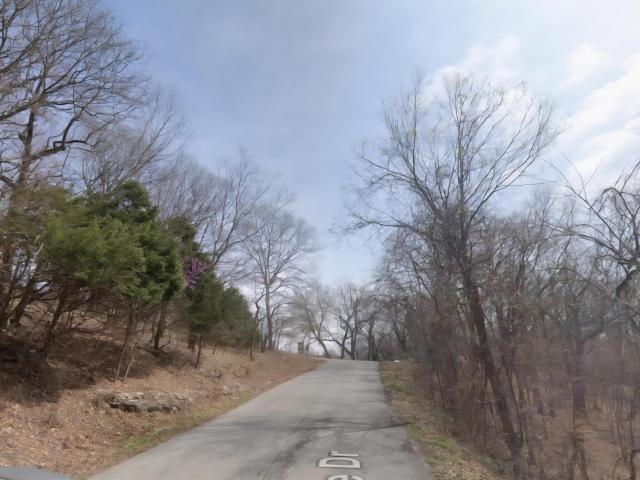296 Holiday Island Drive