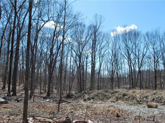 296 Tower Hill Rd, Cumberland, RI 02864 | MLS #1411