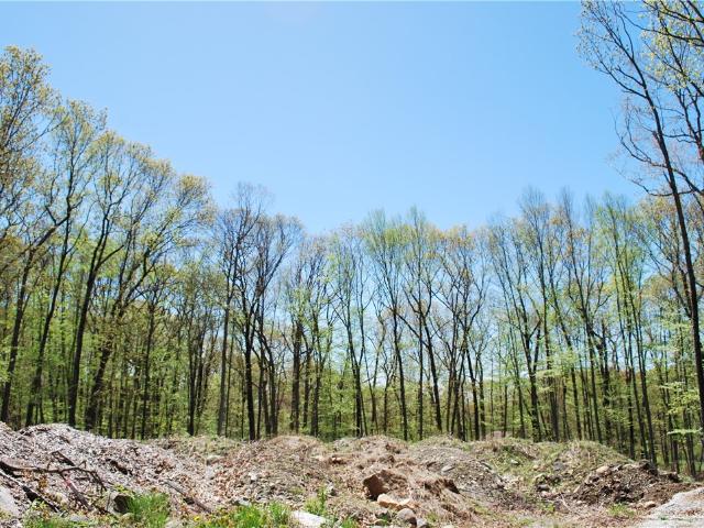296 Tower Hill Road