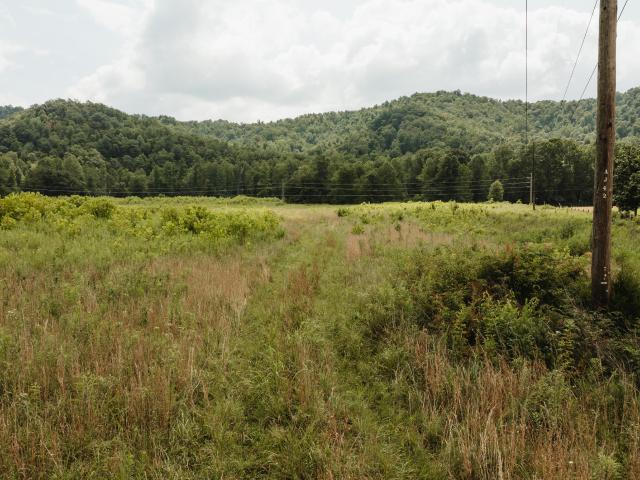 2974 E Fork Road