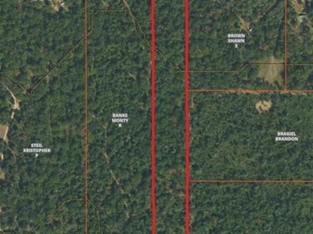 2975 Aarons Rd, Lewiston, MI 49756