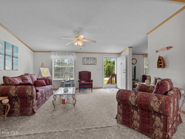 2976 Cedar Island Road