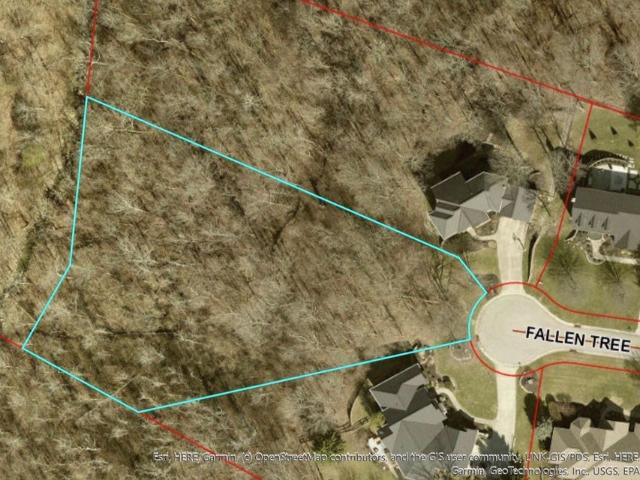 2979 Fallen Tree Court
