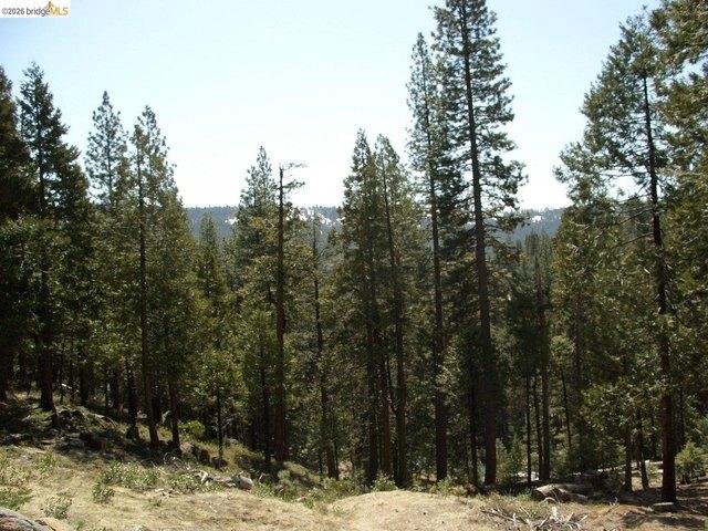 29733 Kerns Dr Lot 441, Cold Springs, CA 95335