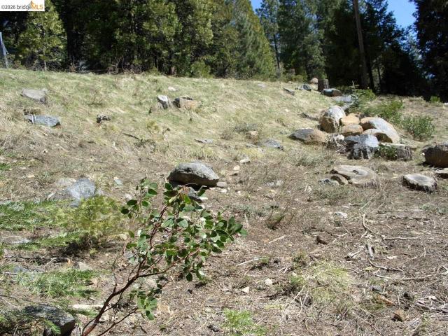 29733 Kerns Drive Lot 441