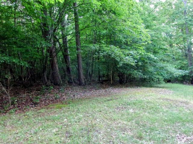 297 Fork Junction Road