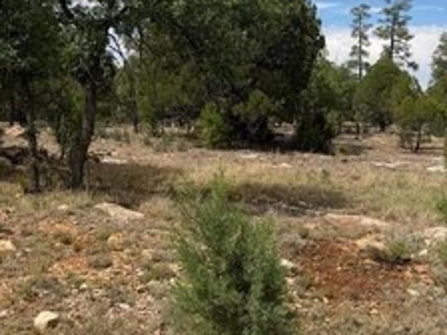 2989 Robin Ln Unit 0, Happy Jack, AZ 86024