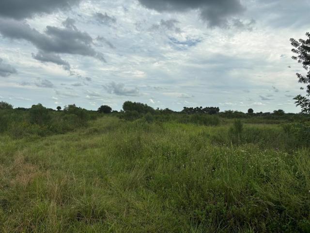 29800 NW 192nd Ave, Okeechobee, FL 34972 | MLS #F10521