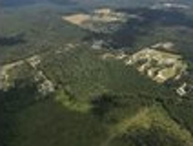 29809 S Cafe Line Rd, Albany, LA 70711 [Updated 12/2]