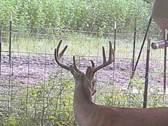 2980 Interstate 10, Weimar, TX 78962
