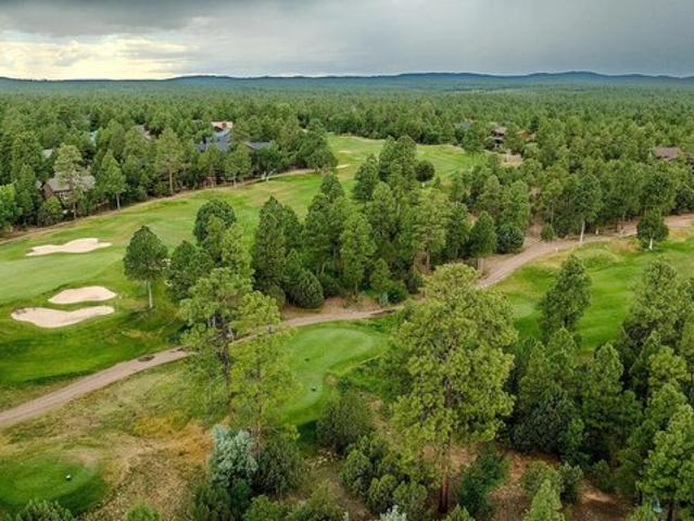 2980 W Black Oak Loop Unit I, Show Low, AZ 85901