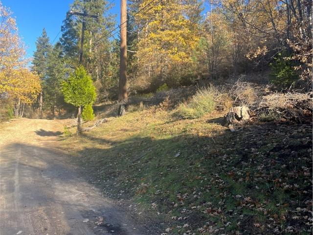29834 Juniper Dr, Cedar Glen, CA 92321 | MLS #IG25266