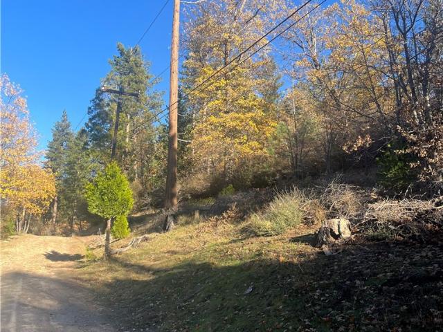 29834 Juniper Drive