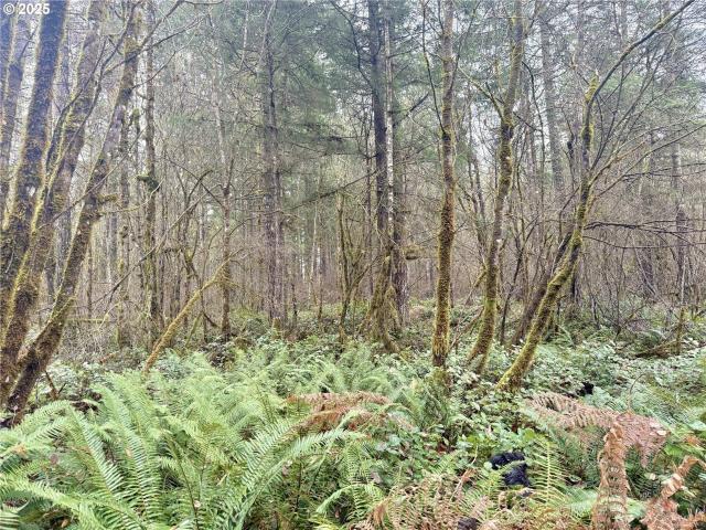 298 Boone Rd, Toledo, WA 98591 | MLS #160841