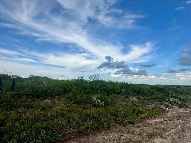 298 Double Eagle Lot 93, George West, TX 78022