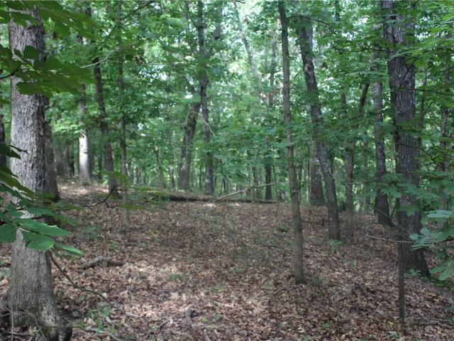 298 E Fox Creek Road