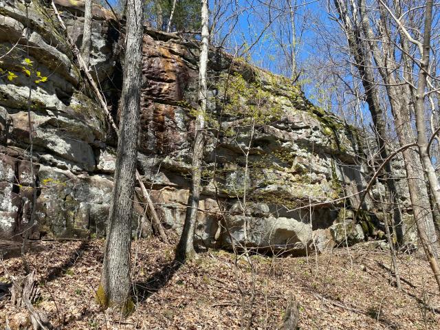 298 Fieldstone Lane