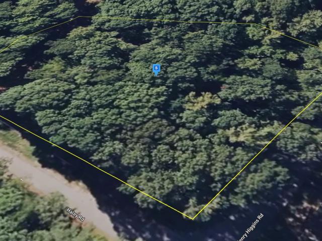 298 Henry Higgins Road
