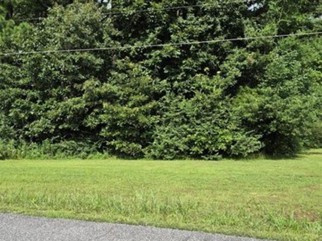 298 Southwood Dr Lot 298, Gilbertsville, KY 42044