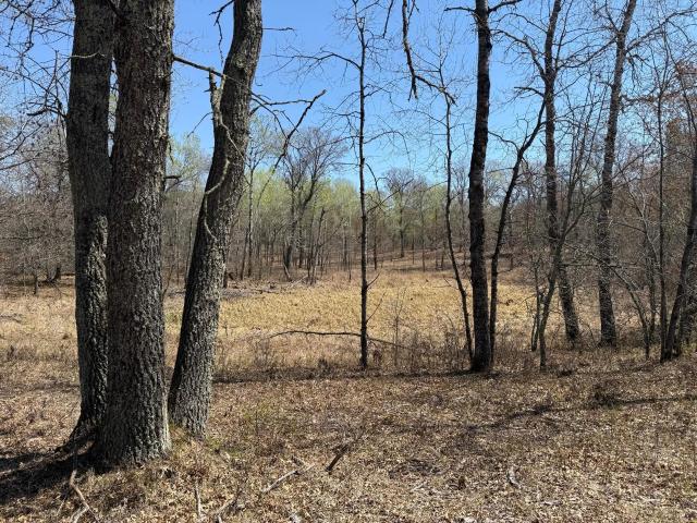 29941 N Bay Dr, Danbury, WI 54830 | MLS #6716 | Compass