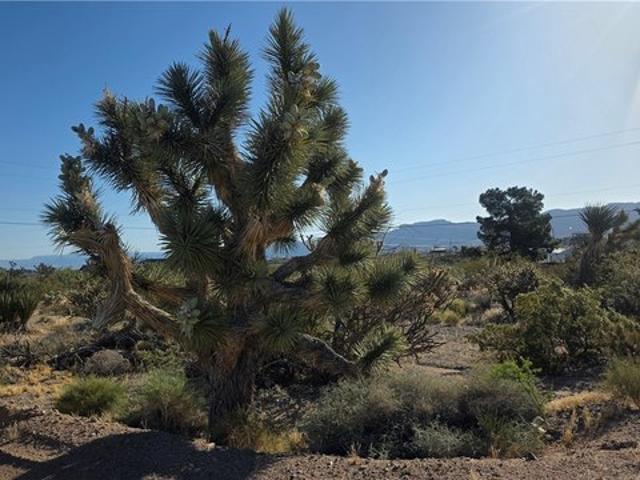 29952 Driftwood Dr, Meadview, AZ 86444