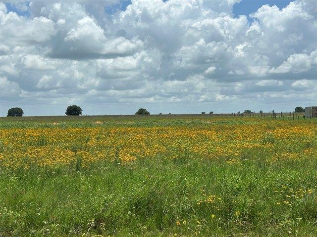 2995 Meier Rd S, Sealy, TX 77474