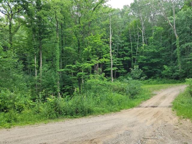 2996 Court Dr SE, Lowell, MI 49331