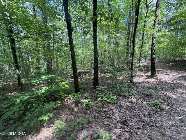 2996 Stokes Store Rd Lot 3, Forsyth, GA 31029