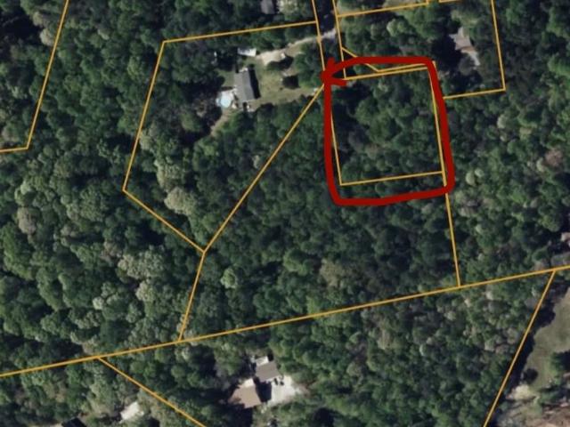 2999 Starnes Drive