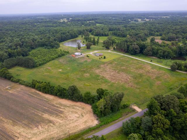 2990 curve woodville rd