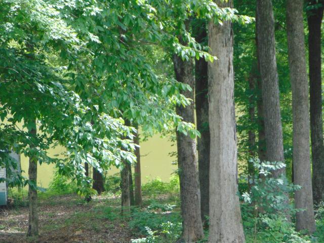 2991 Beech Creek Loop