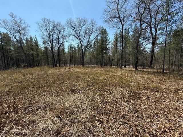 29937 N Bay Dr, Danbury, WI 54830 | MLS #6716 | Compass