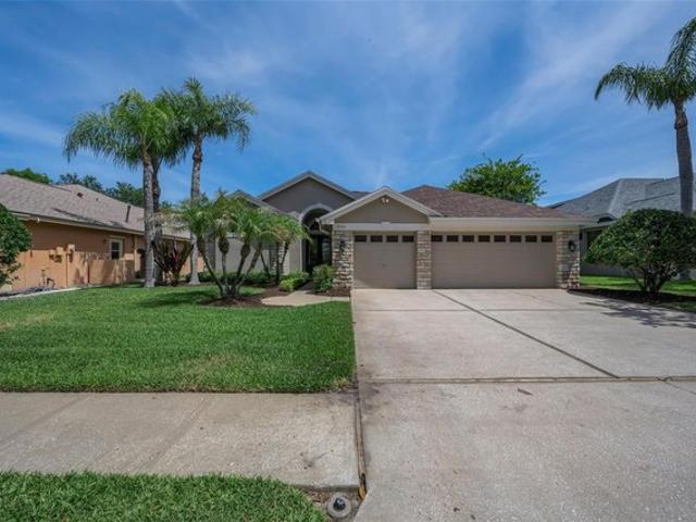 2993 Northfield Dr, Tarpon Springs, FL 34688