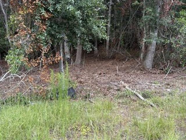2993 James St SW, Supply, NC 28462