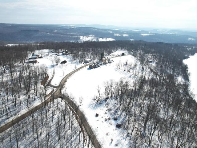299 301 Stump Pond Rd, Livingston Manor, NY 12758 | MLS #969303