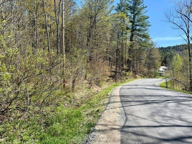 299 and 331 Page St, Lake Pleasant, NY 12108