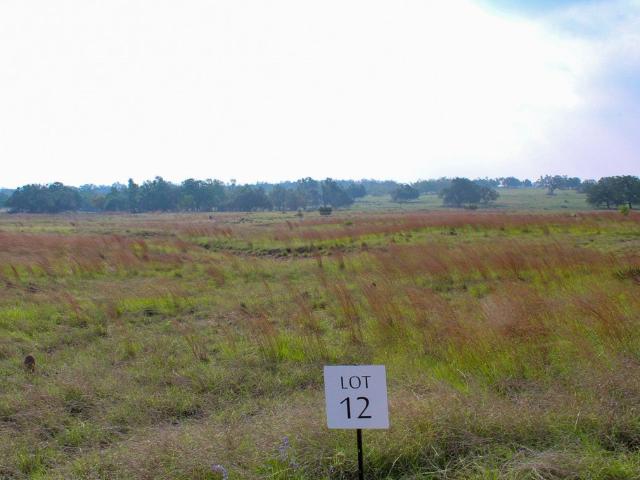299 Apache Trce NW, Unit 12, Harper, TX 78631 | MLS #96577