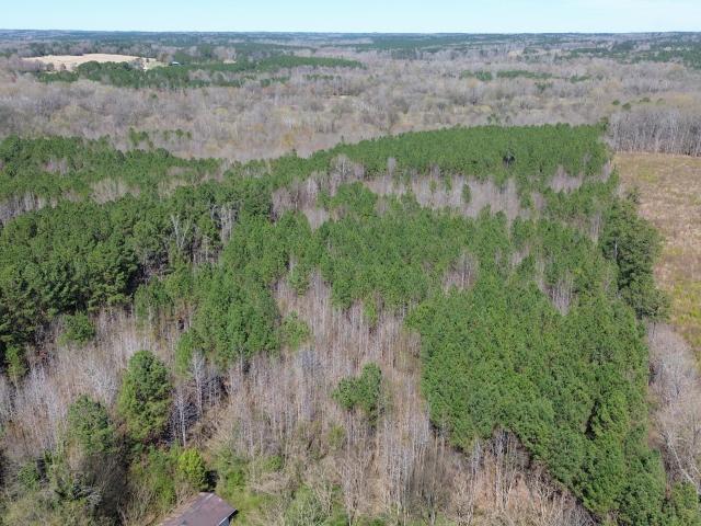 299 Hodges Rd, Franklinton, NC 27525 | MLS #10154