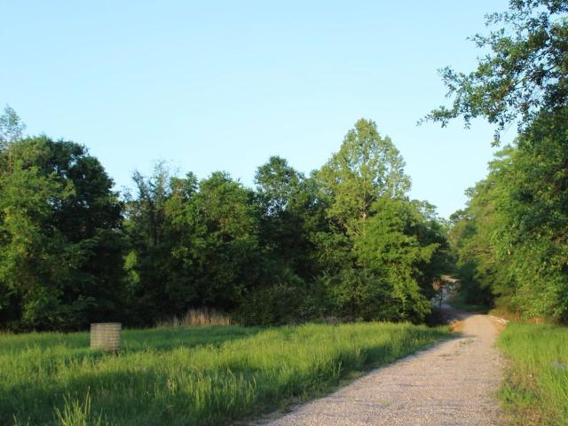 299 Harmony Lane