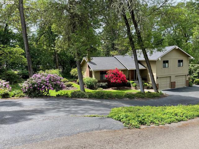 299 wild fern dr