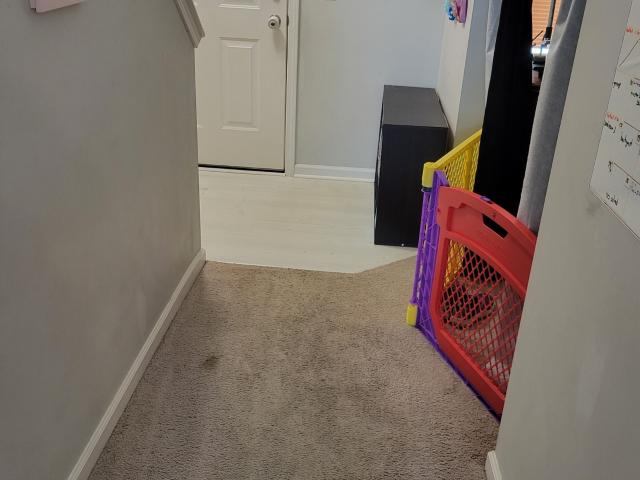 299 Wilkes Court