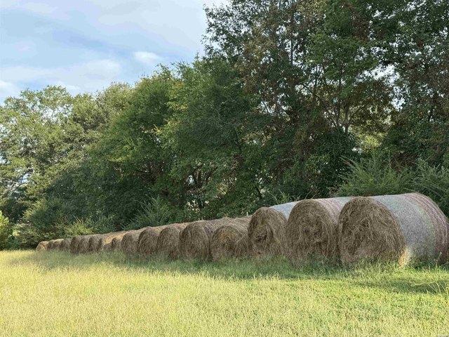 299 Tract 1 Harmony Ln, Amity, AR 71921