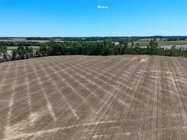 29.25 Acres N 900 W