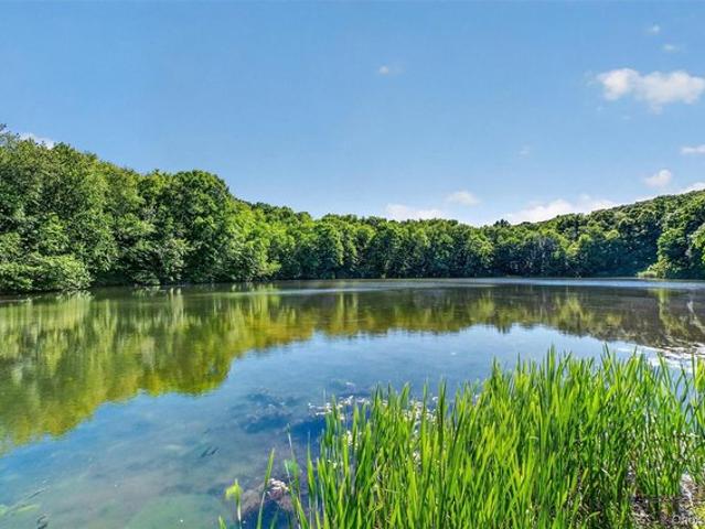 29 35 Bowen Ct, Holmes, NY 10512